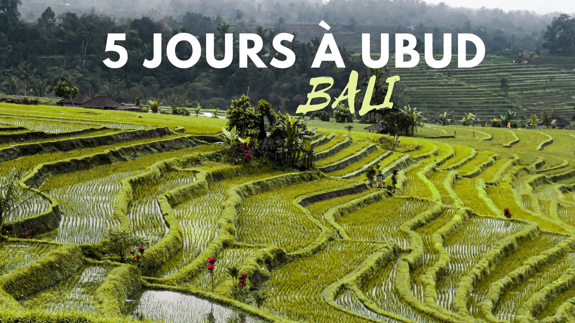 QUE FAIRE À UBUD EN 5 JOURS ? | BLOG VOYAGE